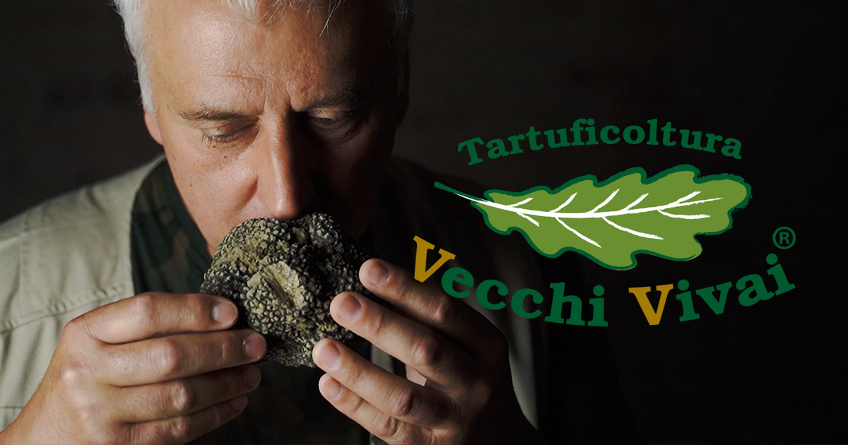 Tartufo Nero Ordinario (Tuber Mesentericum Vitt.)